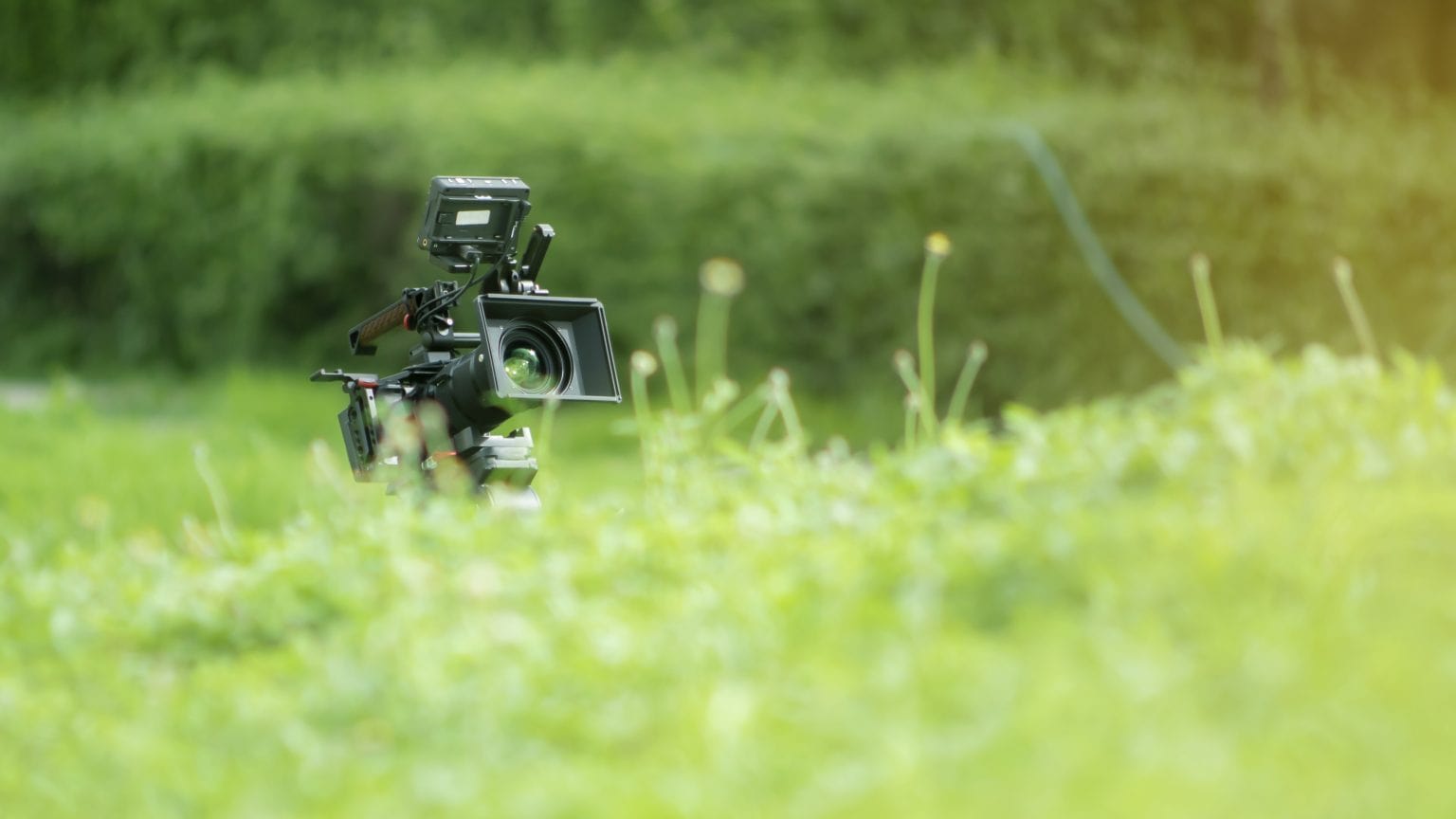 Home | Canada Media Fund