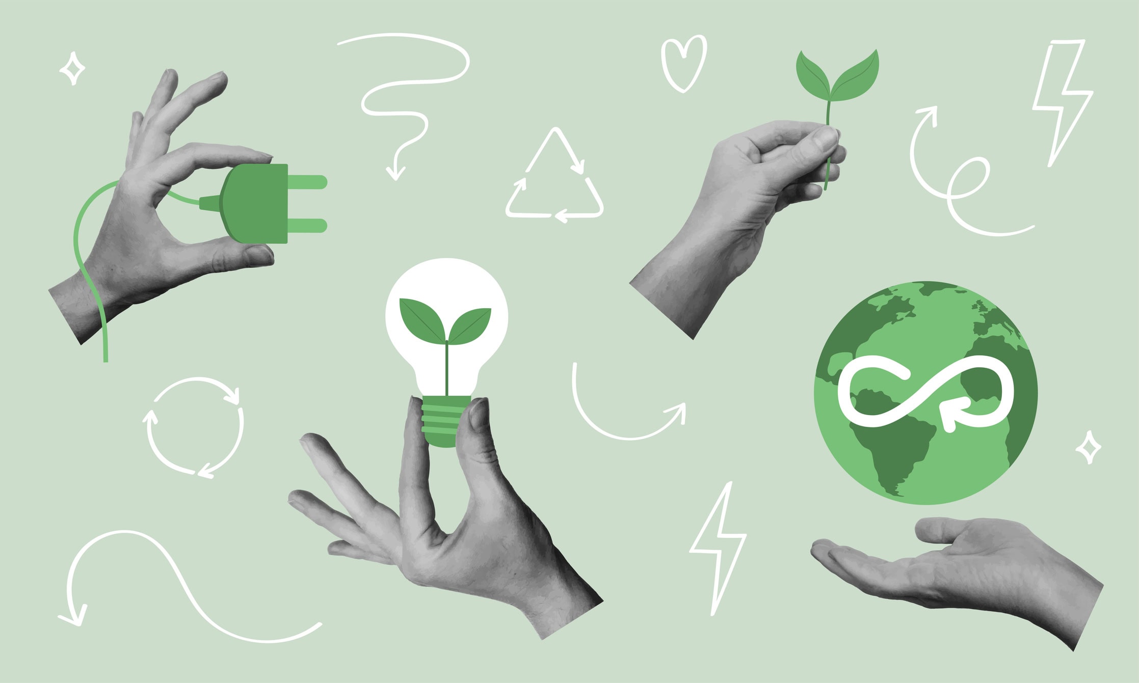 It’s not easy being green, but it’s worth it | Canada Media Fund